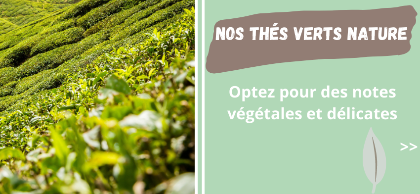 Vente en ligne de thé vert, blanc et thé noir du monde - vert-tiges.com